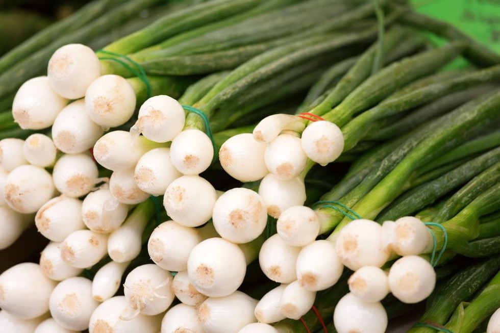 Zbliża się termin wysiewu cebuli w uprawie ozimej