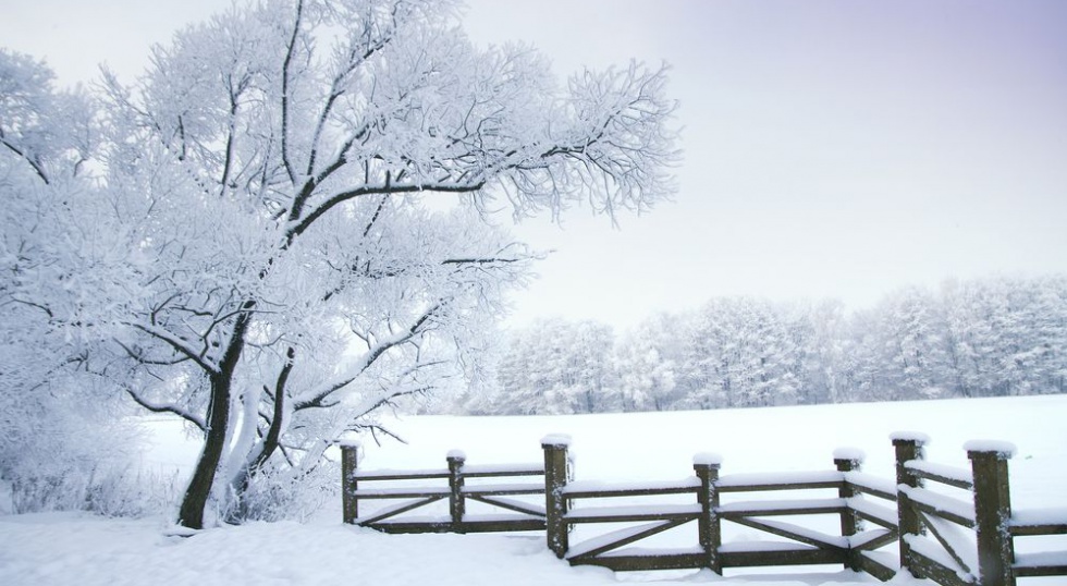 Czeka nas wyjątkowo sroga zima?