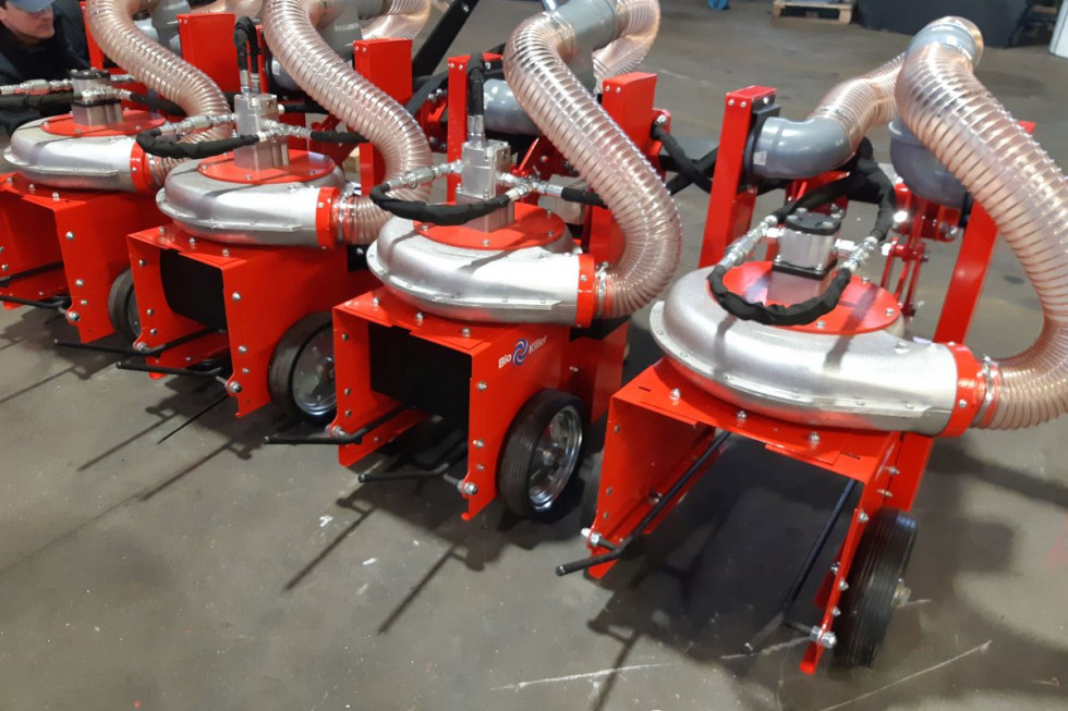 Bio Killer – sposób na szkodniki w uprawach warzyw polowych