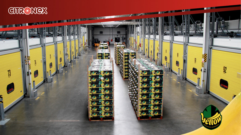 Citronex realizuje nowe inwestycje w Rumunii