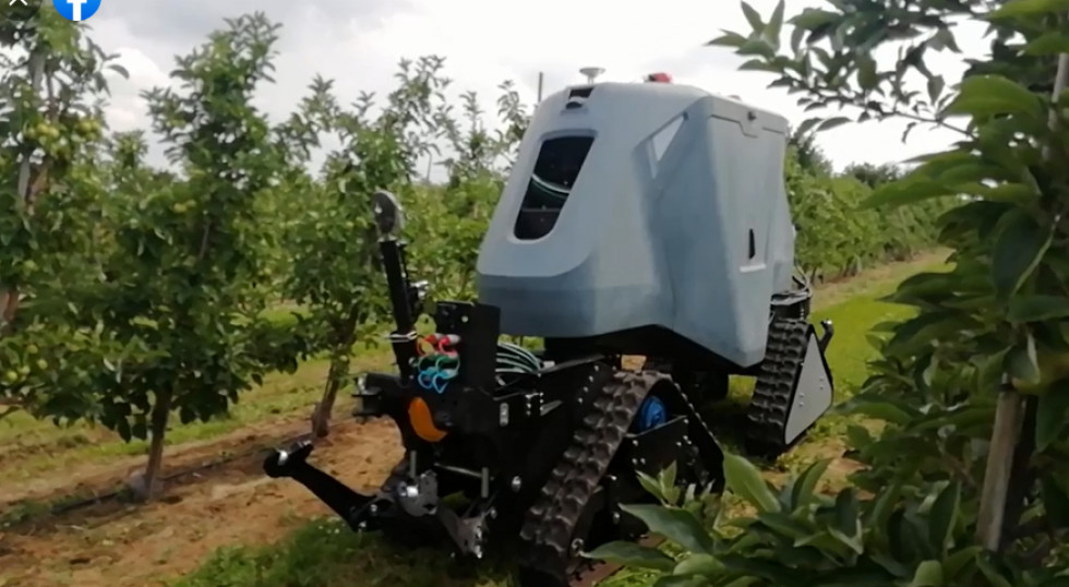 Agribot- polski robot rozpoczął próby w gospodarstwie sadowniczym