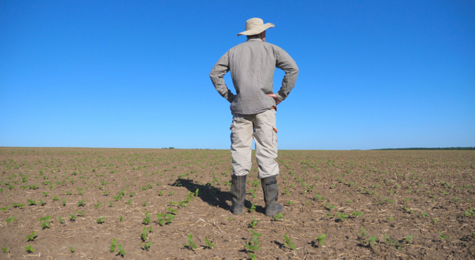 Polskie rolnictwo w głębokim kryzysie