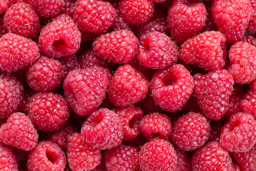 Maliny: Przetwórnie znów obniżają ceny