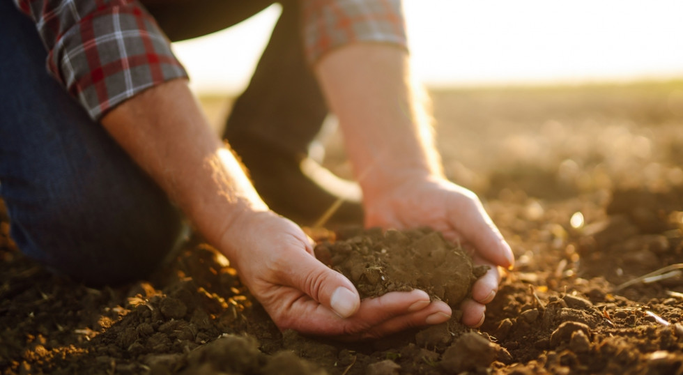 Deficyt wody na polach wciąż duży?