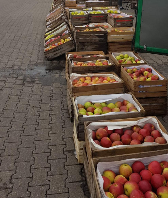 Bronisze: Mało jabłek i mało kupców. Jakie ceny?