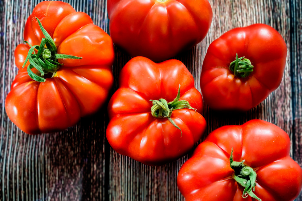 Pomidor idealny do uprawy amatorskiej. Jest słodki i mięsisty