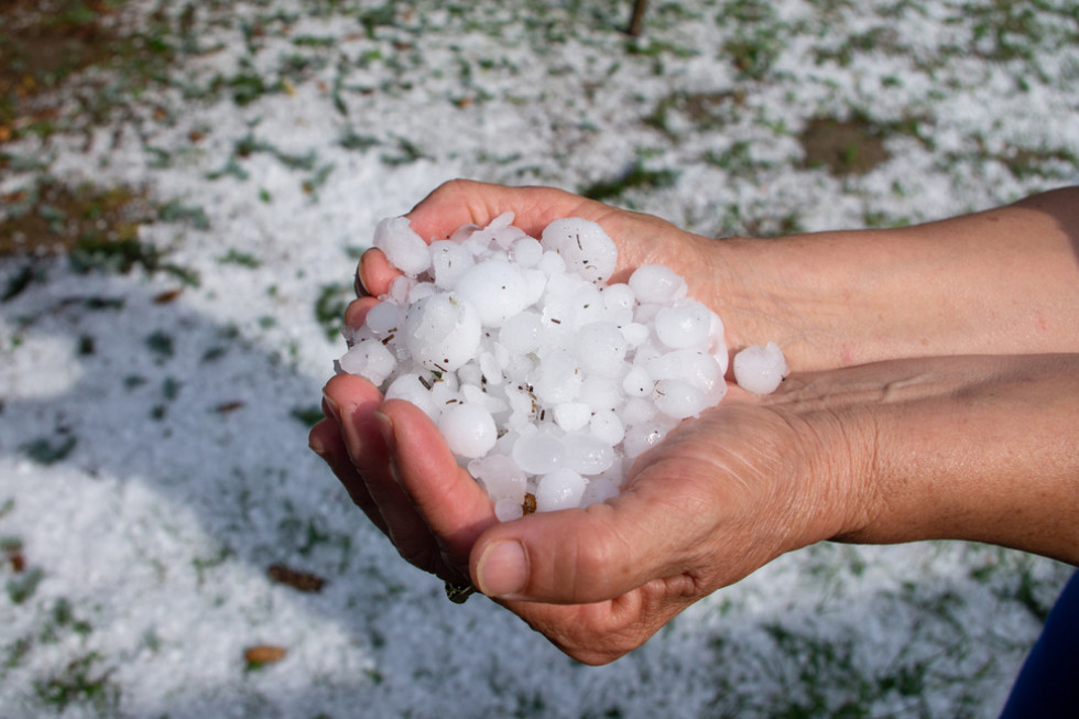 Gradobicie w środku zbiorów. Nawet 100 proc. strat w uprawach