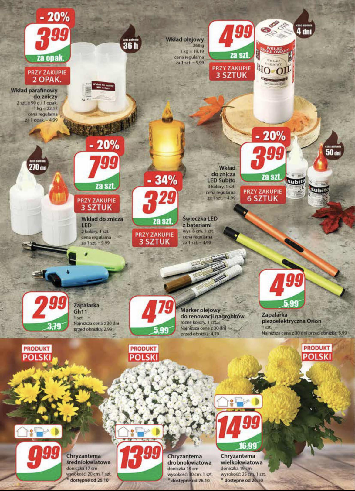 Ceny chryzantem 2023: Ile kosztują? Tutaj kupisz je najtaniej