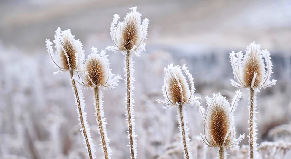 Minus 27 stopni! Jak długo będzie mroźno?