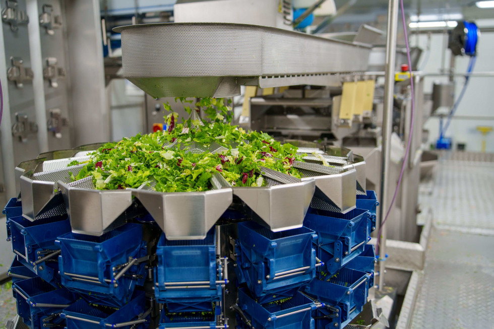 Green Factory rośnie w siłę. Nowa akwizycja umacnia pozycję firmy