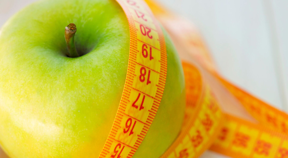 Oficjalny rekord Polski dla jabłka Mutsu z gminy Obrazów. Sprawdź, ile waży