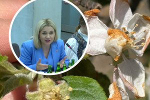 Minister Krajewski składa deklarację: Będzie pomoc dla sadowników