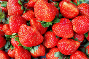 Ostry zjazd cenowy truskawek. Ile kosztuje 2 kg łubianka owoców?